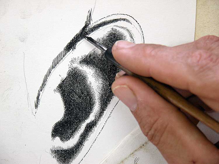 Through the eyes of John Baselmans: How to draw ears in pen and ink 1