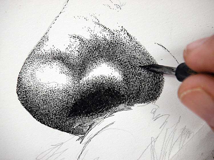 Through the eyes of John Baselmans: How to draw nose in pen and ink 1
