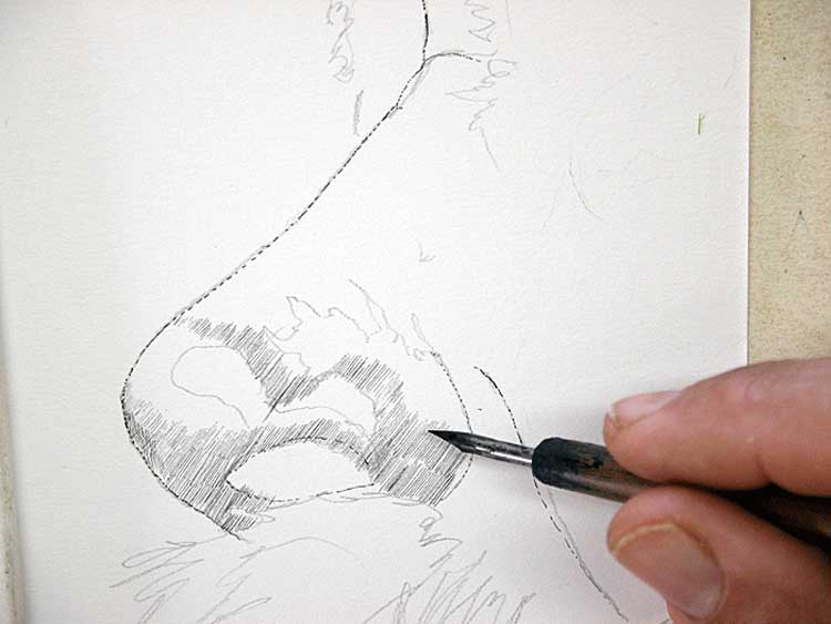 Through the eyes of John Baselmans: How to draw nose in pen and ink 1